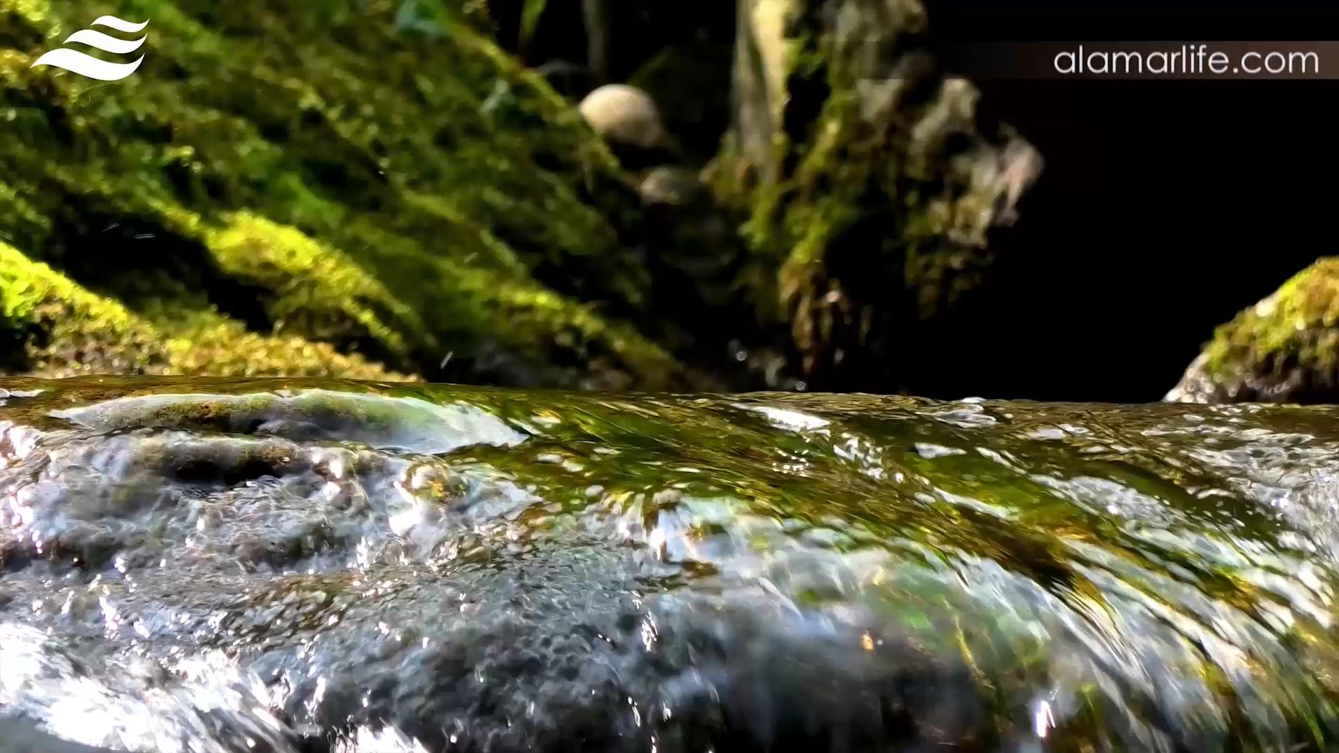 Experience Nature - The power of Nature for well-being